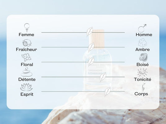 Cardamom & Sea Spray, eau de parfum | L'Essence des Notes